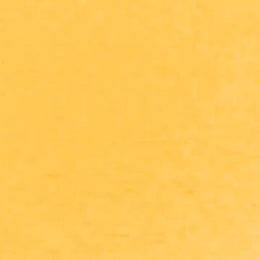 Egg Yolk Yellow – Case for Making